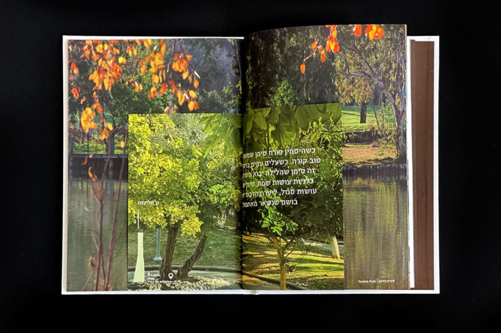 Akiva Arie 4 Tel Aviv | Basman Tenenbaum